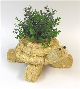 Garden Turtle Planter - FloraCraft