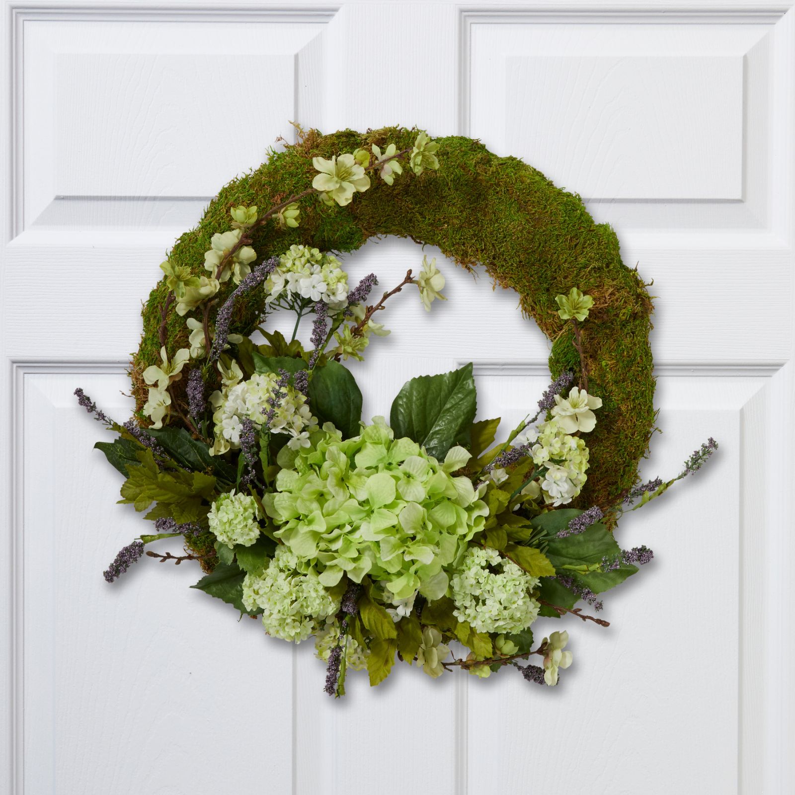 Green Hydrangea Moss Wreath - FloraCraft